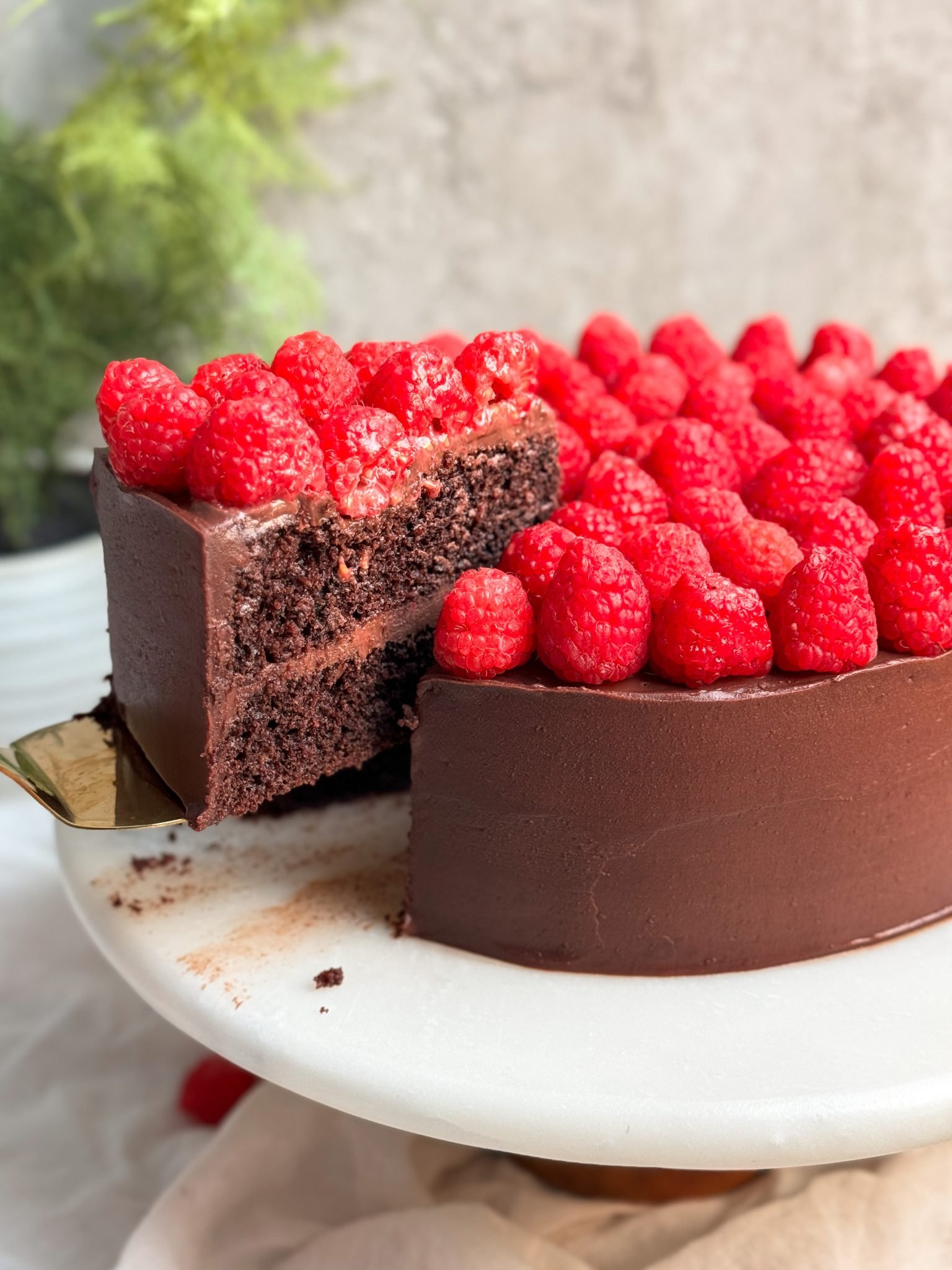 The Ultimate Chocolate Raspberry Fudge Cake - BAKE WITH ZOHA