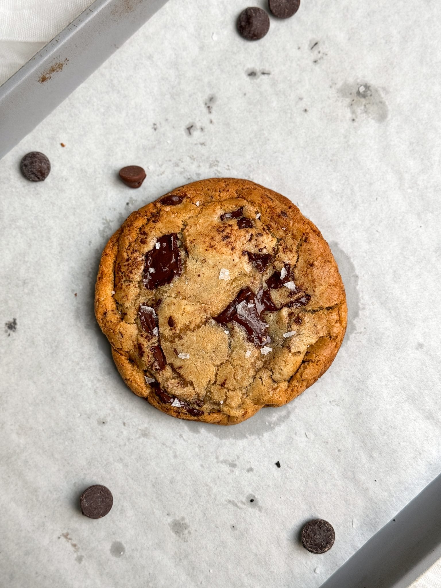 Single Serve Chocolate Chip Cookie