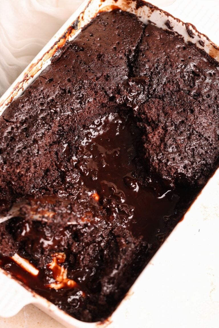 Microwave Chocolate Pudding Cake - BAKE WITH ZOHA